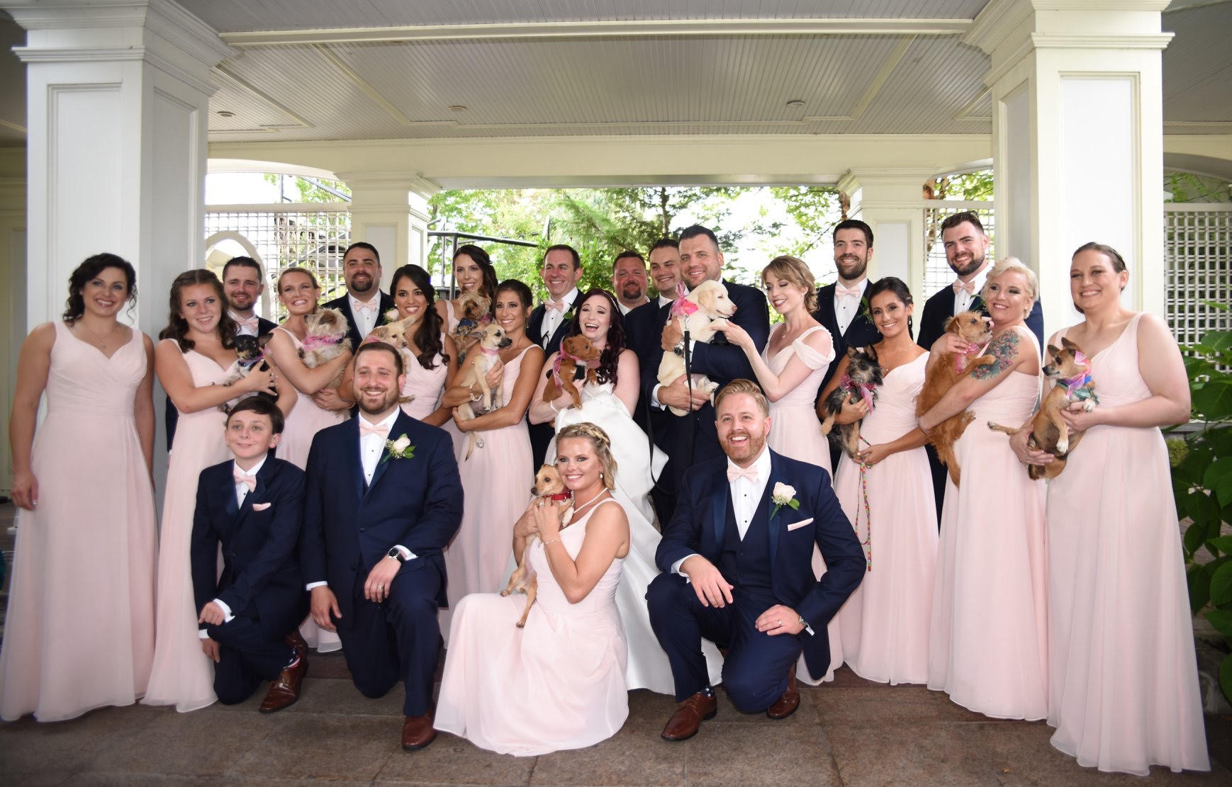 Happenings | Ruff House Rescue